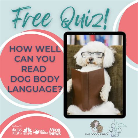 39 Decoding Doodles Body Language Pt 1 Transcript