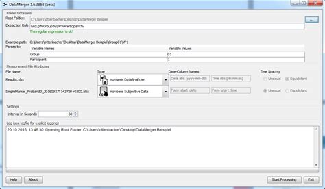 Datamerger Movisens Docs