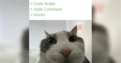 Programming Memes For Coding Geeks March 23 2025 Memebase Funny Memes