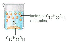 AP Chemistry Solubility Rules Flashcards Quizlet