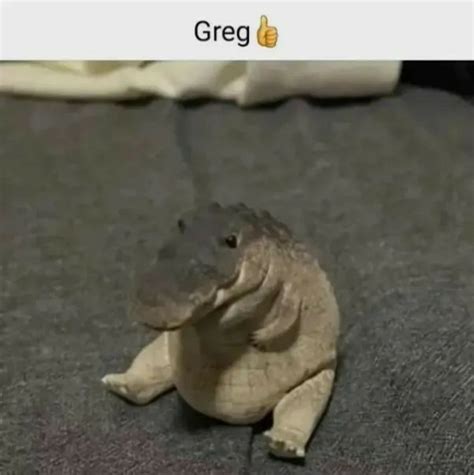 Greg Blank Template Imgflip