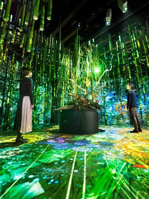 阈限空间的艺术作品之于 临界飞地” 疫情带来的大社交趋势iv 数艺网