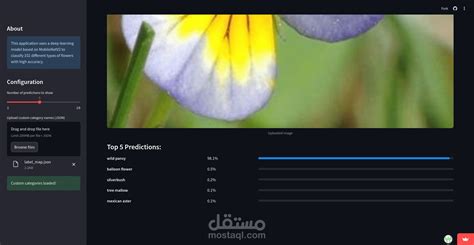 Flower Classifier مستقل