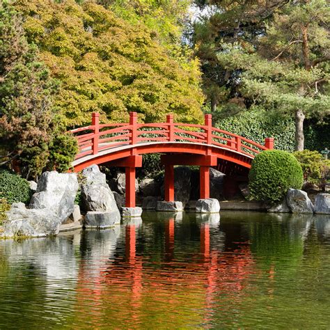 Friendship In Japanese