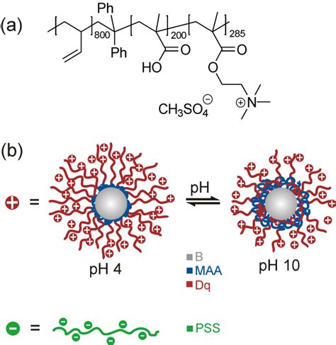 1 Chemical Structure Of The Bmaadq Triblock Terpolymer A Schematic