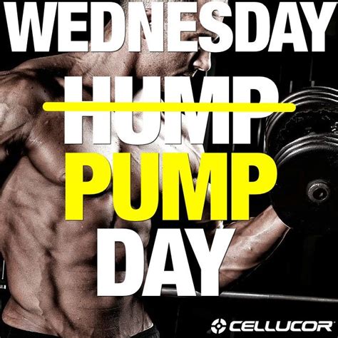60 Funniest Hump Day Memes To Survive Wednesdays Funny Hump Day