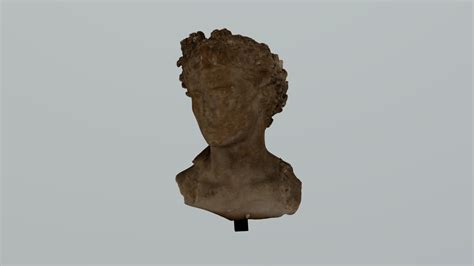 Buste Dauguste Couronné De Chêne Download Free 3d Model By Musée Saint Raymond