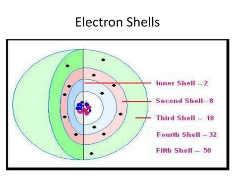 Ppt Biology Eoc Review Powerpoint Presentation Free Download Id