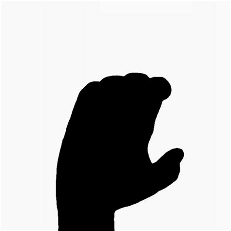 Fingerspelling Word Shape