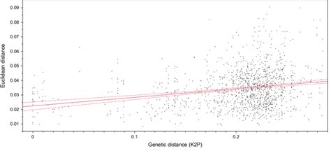 Correlation Between Pairwise Genetic Distances And Euclidean Distances Download Scientific