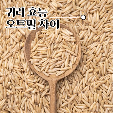 귀리효능 부작용 오트밀 차이 칼로리까지 알아보자 네이버 블로그