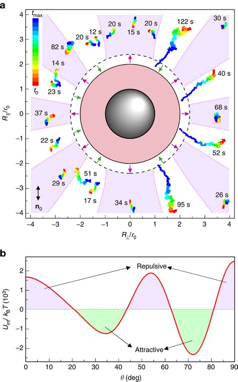 Elastic Interactions Of Colloidal Hexadecapoles A Angular Dependence Download Scientific
