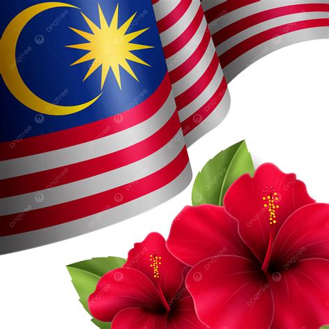 Realistic Malaysia Merdeka Elements Set Vector Malaysia Merdeka Malaysia Flag Hibiscus Png