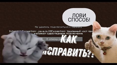 ФИКС ОШИБКИ Internal exception java io IOException Удалённый хост разорвал соединение НА