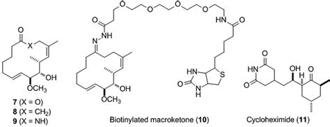 Multifaceted Modes Of Action For The Glutarimide Containing Polyketides Revealed Pmc