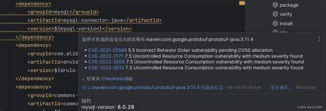 idea for java，漏洞提醒，jar 包安全性提醒 idea pom文件提示某些第三方jar不安全 csdn博客