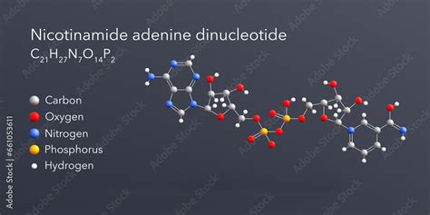 Nicotinamide Adenine Dinucleotide Molecule 3d Rendering Flat Molecular Structure With Chemical
