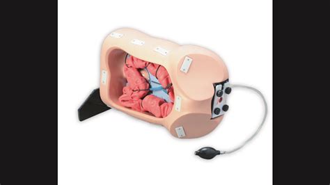 Colonoscopy Training Simulator Light Skin Tone Limbs And Things Us