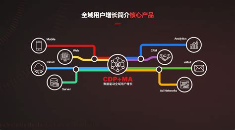 数据管理 数据管理