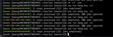 inconsistent summary information between reruns · issue 1062 · vatlab