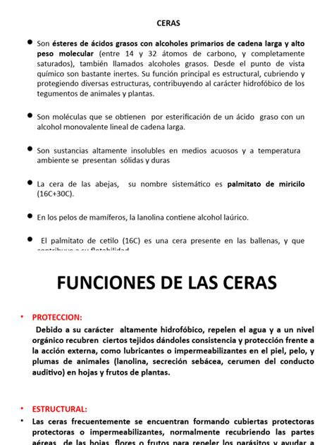 Fosfolipidos Descargar Gratis Pdf Cera Fosfolípido