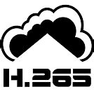 H 265 NVR