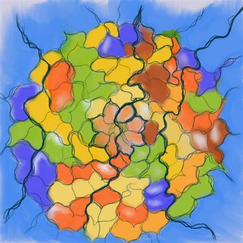 Neurografica Xeral Neurografica