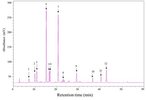HPLC PDA Chromatogram Of Identified Compounds In Enriched PLS Extracts Download Scientific