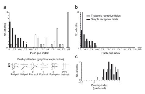 Excitation And Inhibition Within Single Subregions Of The Receptive Download Scientific Diagram