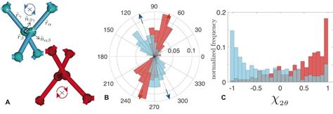 Dihedral Angle Analysis To Identify The Local Sense Of Rotation Of Each