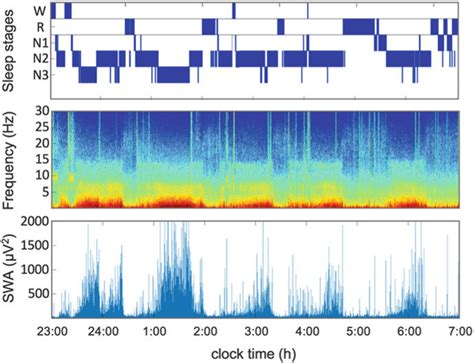 Nocturnal Sleep In A Young Adult Hypnogram Spectrogram And Time