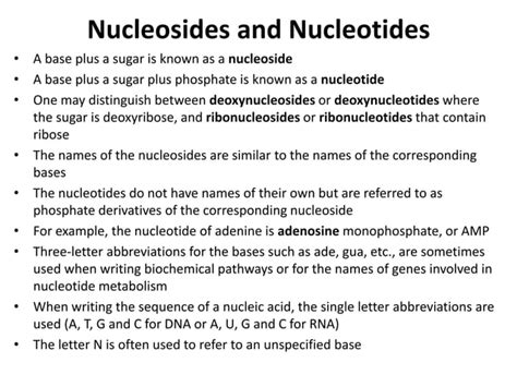Lecture Nucleic Acids Pdf
