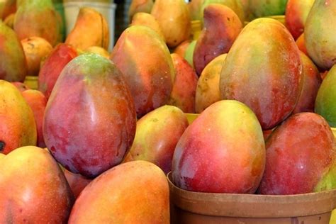 Foto Gratis Fragole Mirtilli More