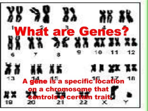Heredity And Genetics PowerPoint Ppt Genetics Science