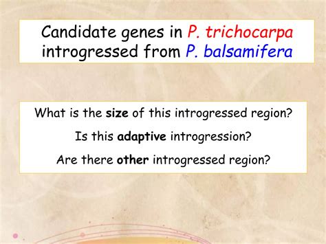 Adaptive Introgression Adriana June Ppt