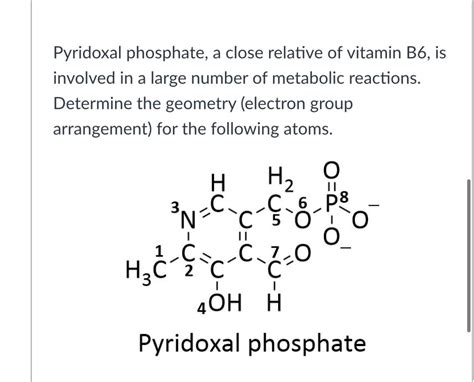 Answered Pyridoxal Phosphate Bartleby