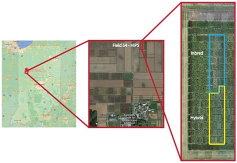 Advancing Tassel Detection And Counting Annotation And Algorithms