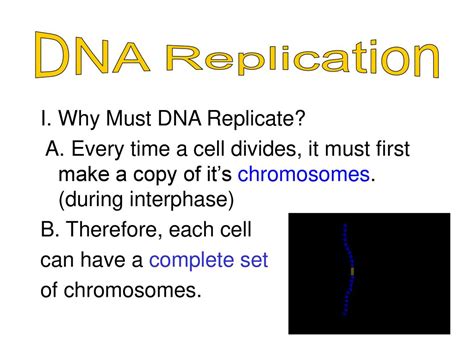 Nucleic Acids Ppt Download
