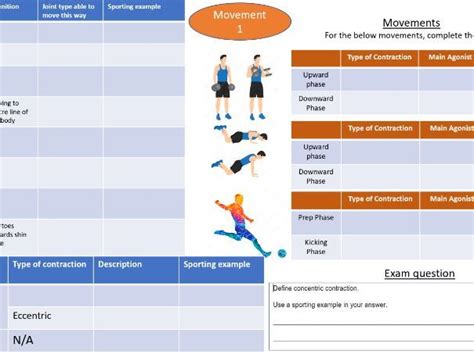 Gcse Pe Movement Revision Mat Teaching Resources