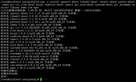 银河麒麟v10 Sp1 安装 Postgresql 1116 思江 博客园