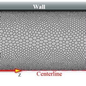 CFD Simulation Mesh Configuration Download Scientific Diagram