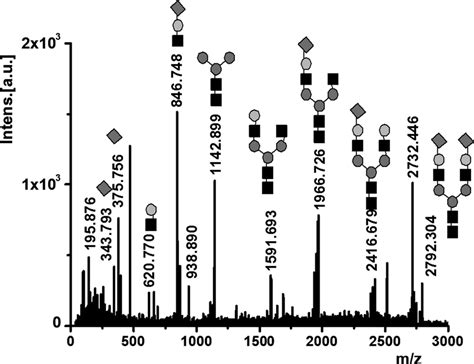 Msms Fragmentation Pattern Of The Disialylated Biantennary Complex Download Scientific Diagram