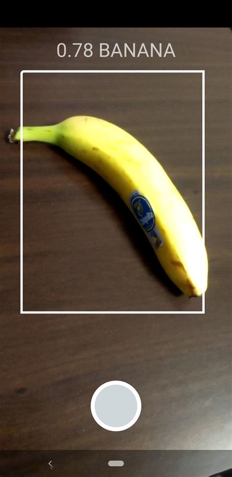 How To Record Any Of Android Mlkit Detection To A Video Stack Overflow