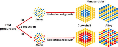 Llustration Of Possible Nanostructures That Can Form During Synthesis Download Scientific