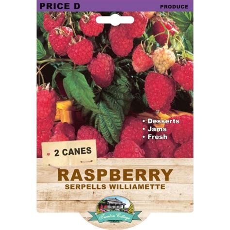 Raspberry Serpells Willamette