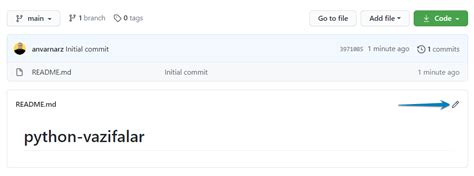 13 Github Portfolio Pythonsariqdev