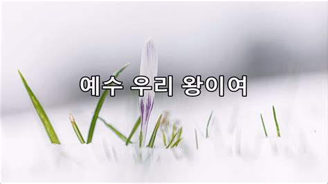 예수 우리 왕이여 YouTube