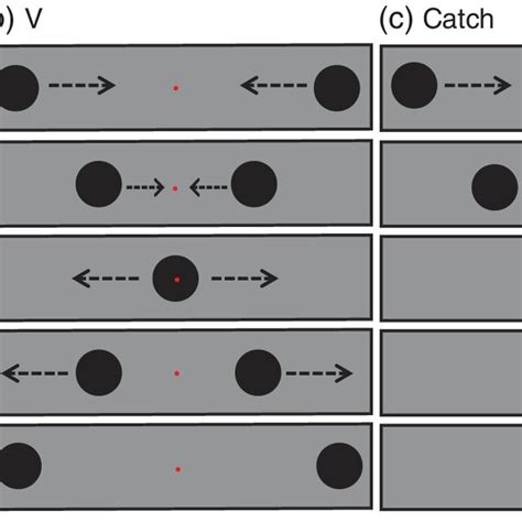 schematic diagram of the four different stimulus conditions designed