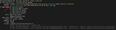 How To Install KVM On RHEL 9 Step By Step