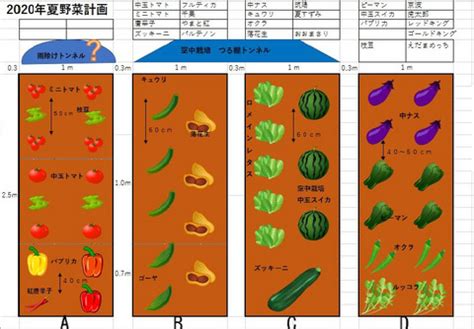 野菜後作栽培一覧表 相性が悪い野菜の組み合わせ表 Tvqglo